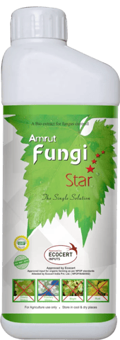 Amrut Fungistar - Botanical Fungiside, 1 Liter